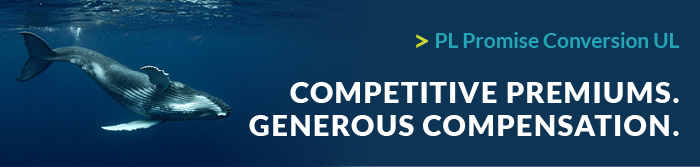 PL Promise Resources